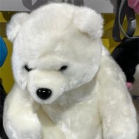 Anytoly主播简介 | xHamsterLive