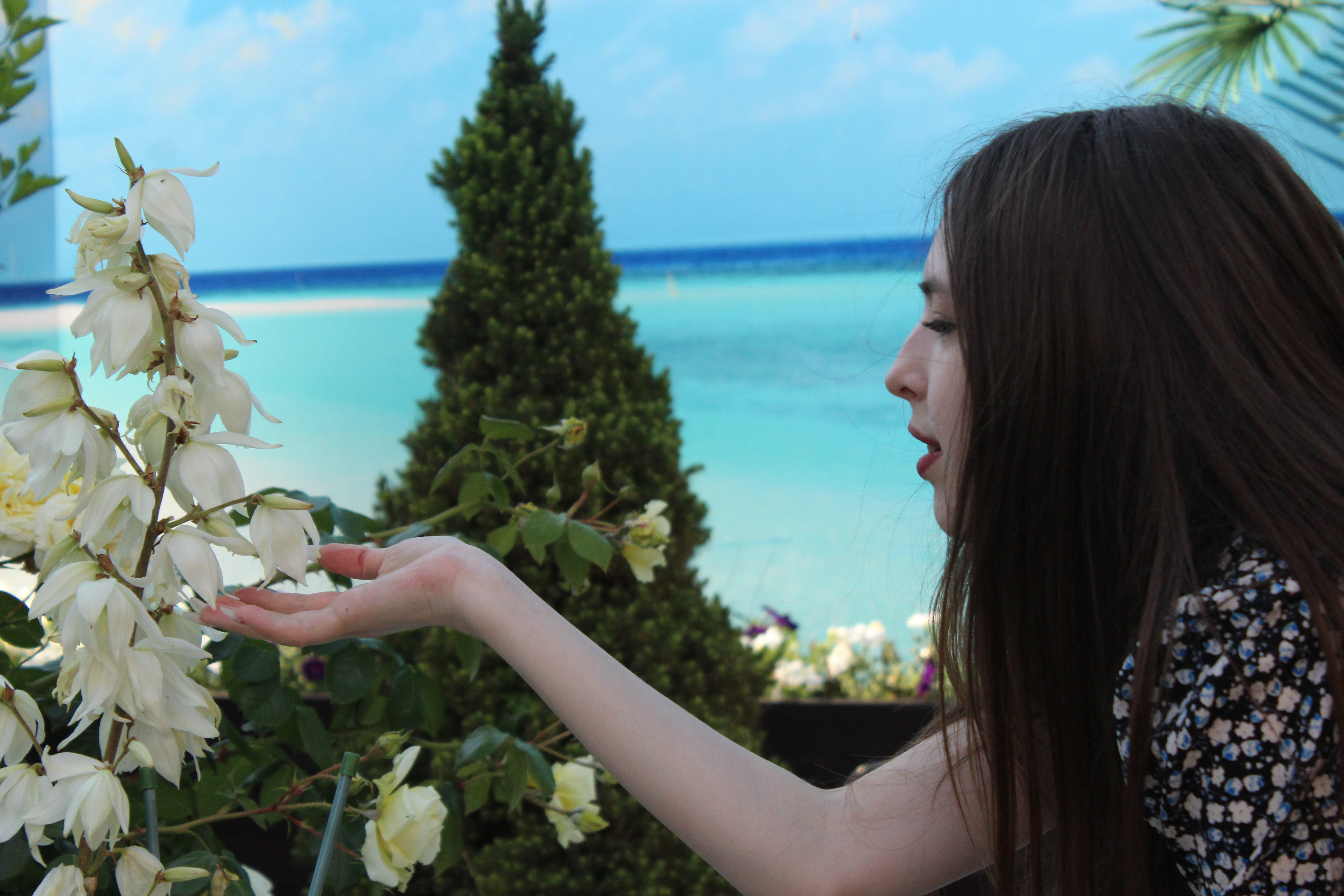 LiliBakery Webcam Model Profile | xHamsterLive