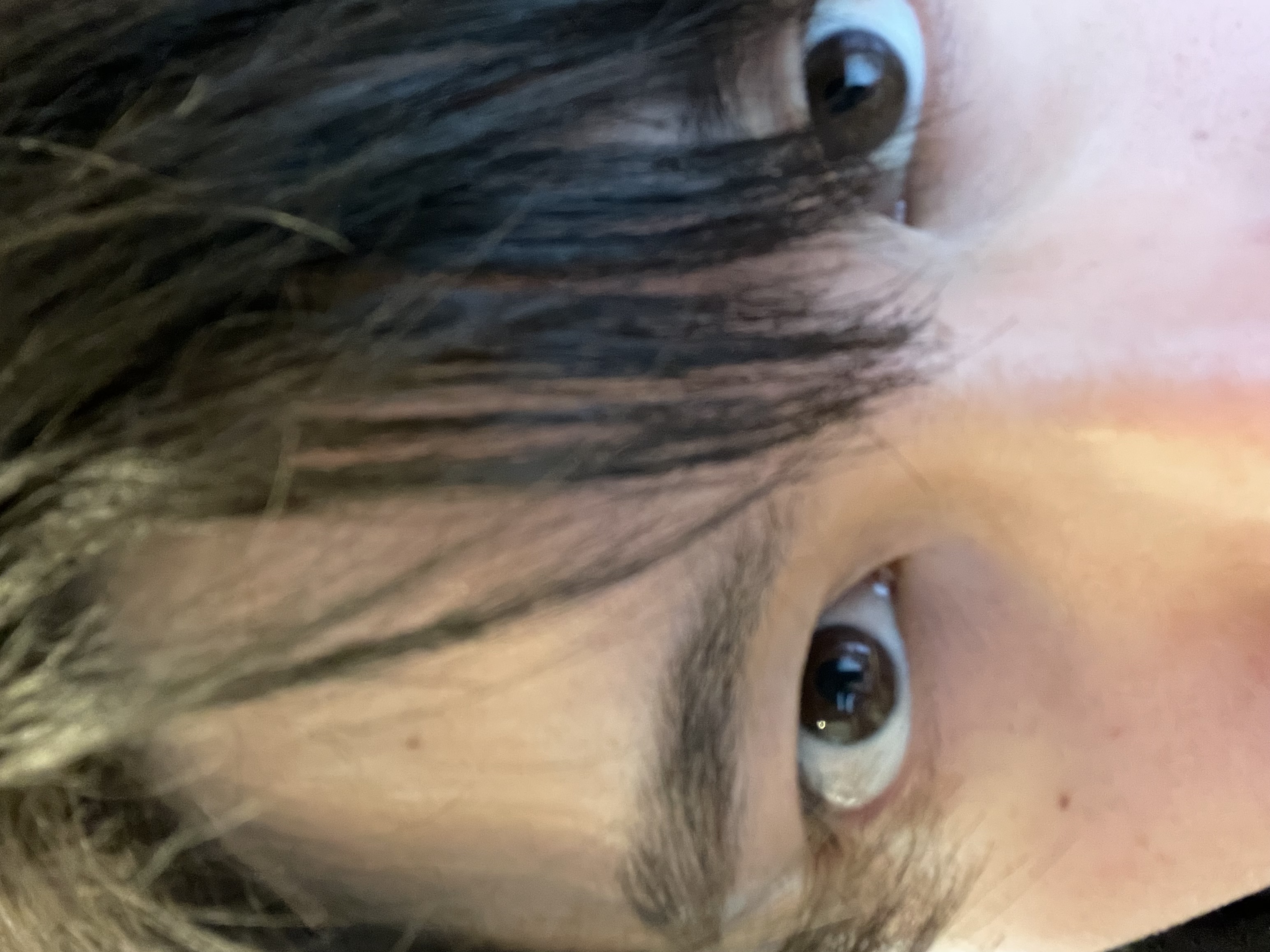Spycam Guyのキャストのプロフィール Stripchat