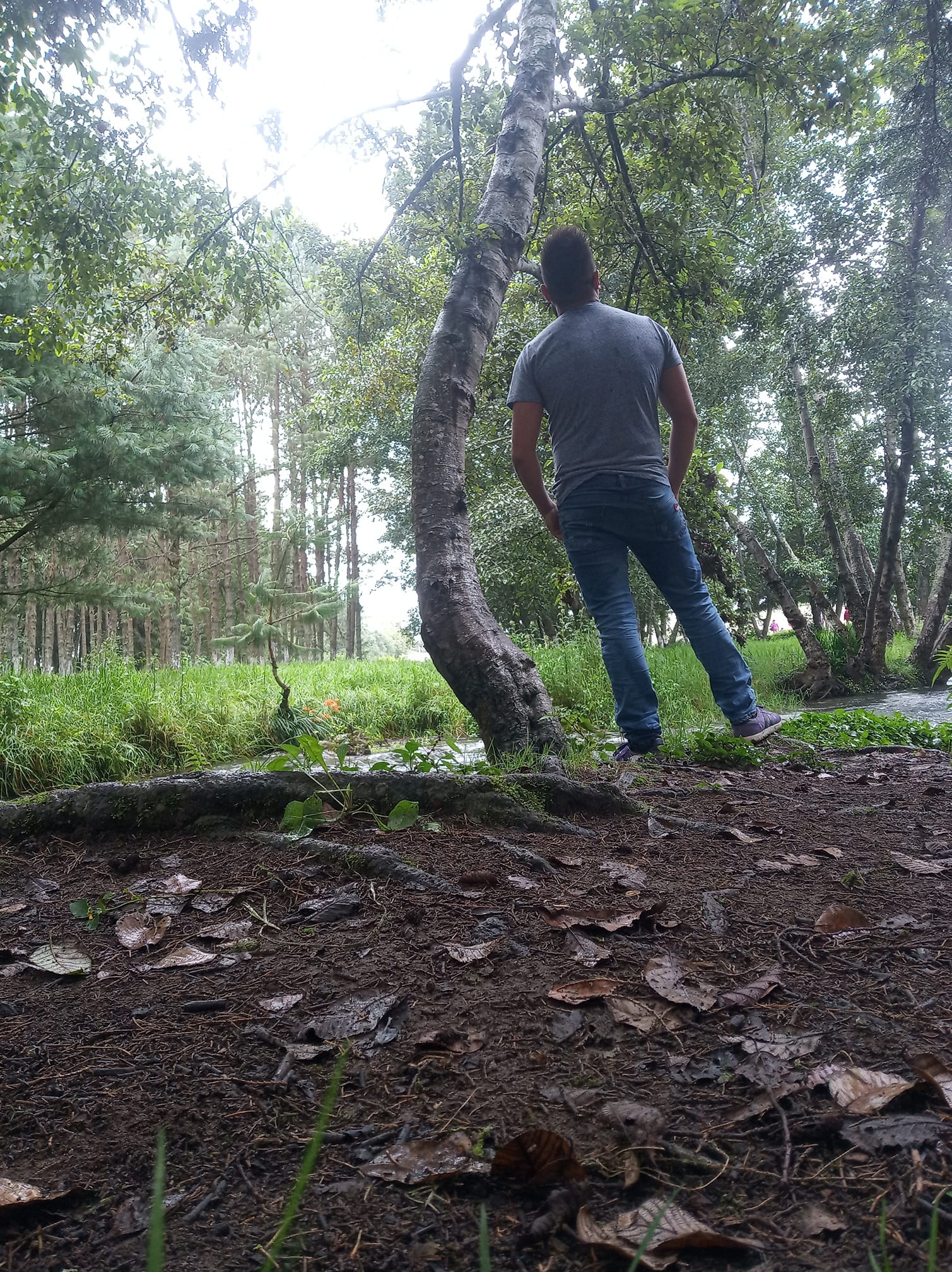 Papi_Rey Webcam Model Profile | xHamsterLive