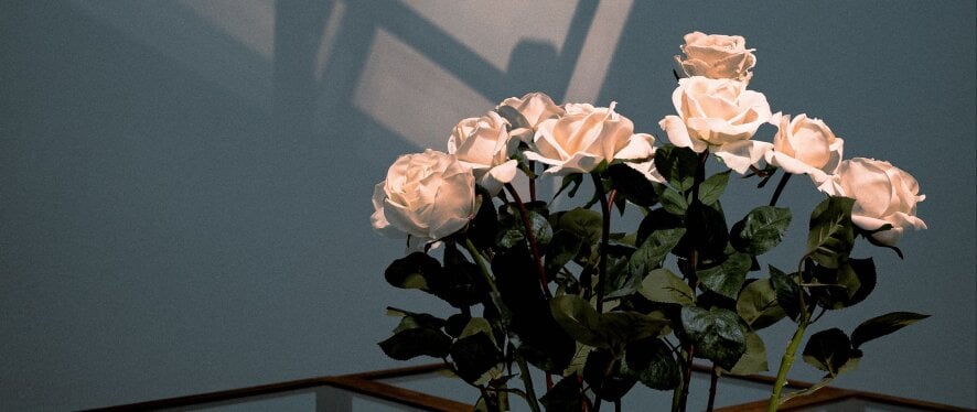 CarmenSoft Webcam Model Profile | xHamsterLive