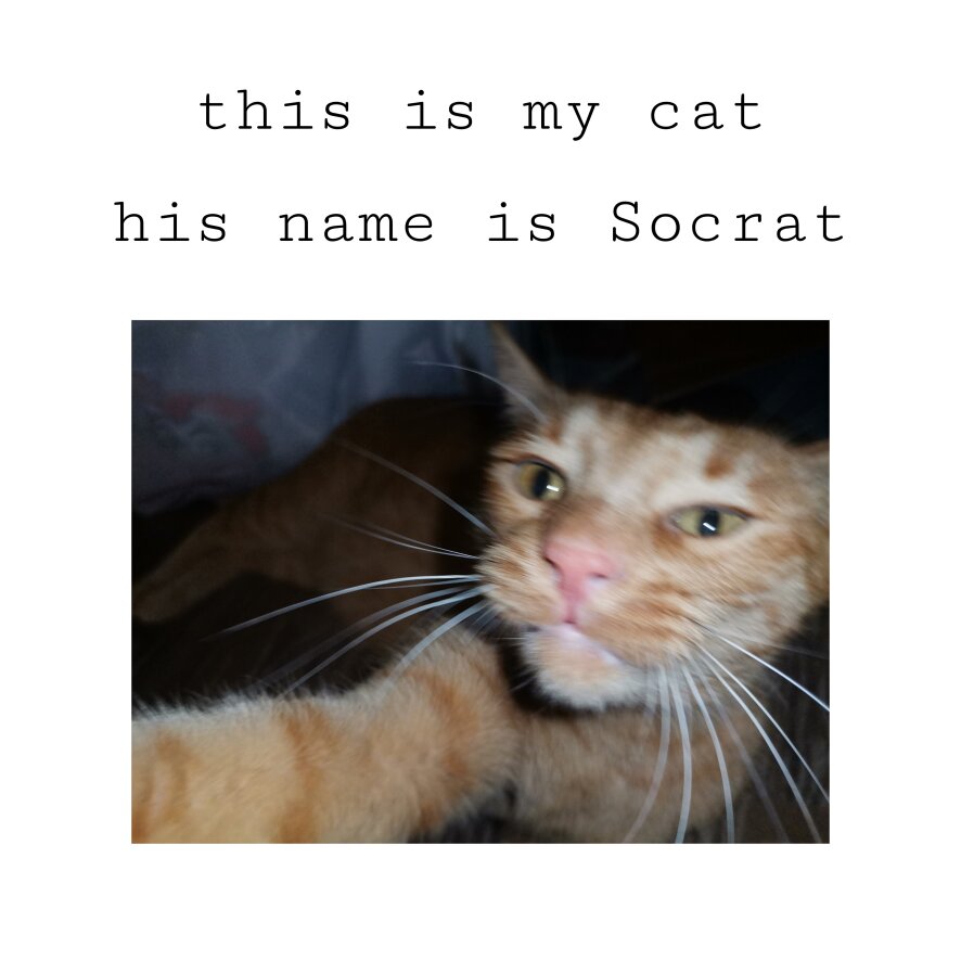 A_emulus Webcam Model Profile | xHamsterLive