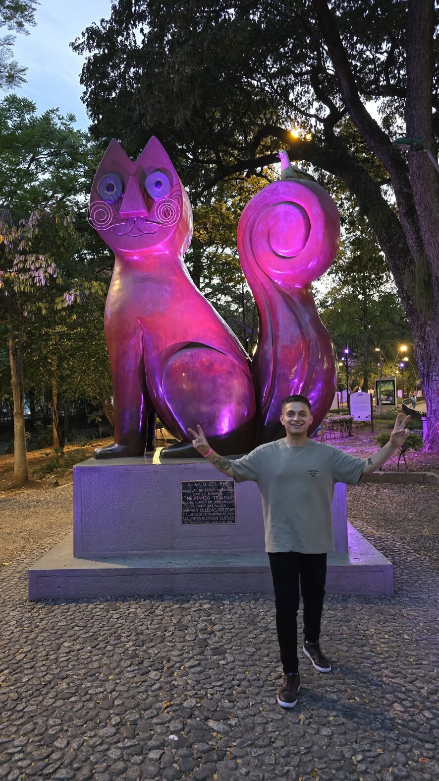 Tim_wolf Webcam Model Profile | xHamsterLive