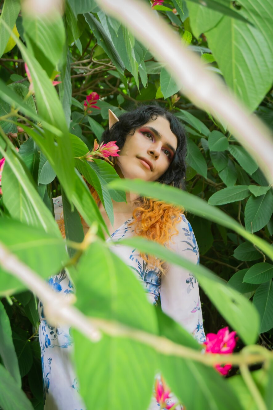 Alice_Bathory Webcam Model Profile | xHamsterLive