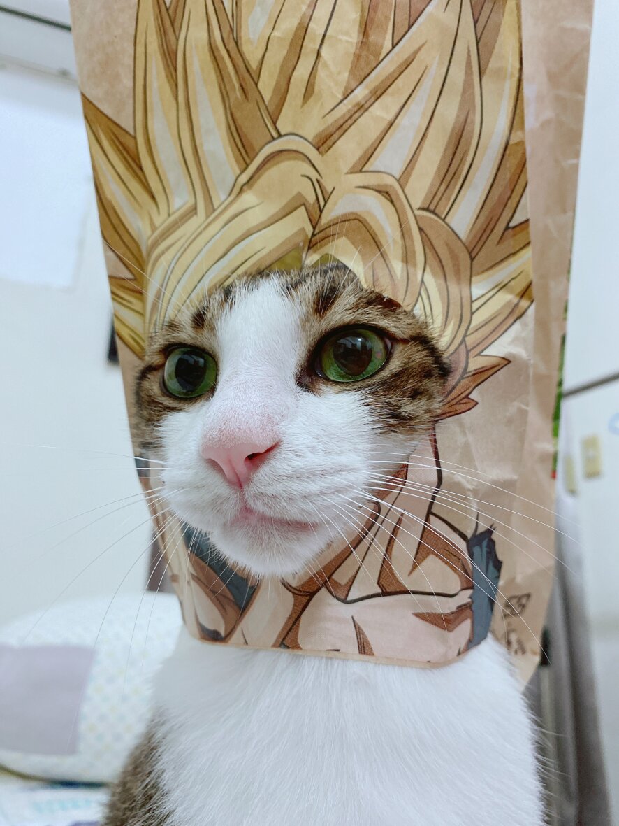 A0513主播简介 | Stripchat