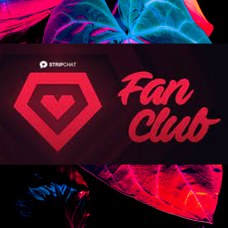 Danny_rae主播简介 | xHamsterLive