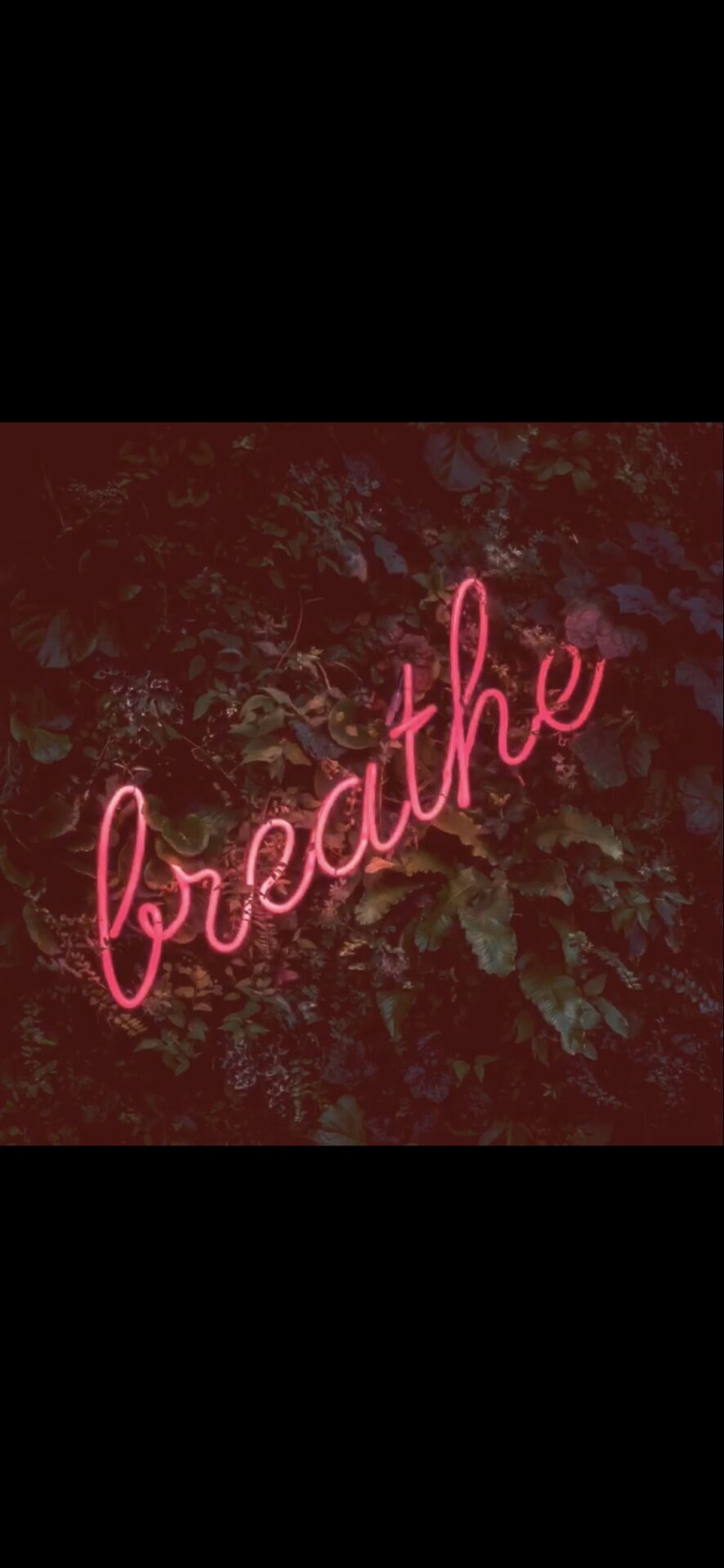 ShellyWhite Webcam Model Profile | xHamsterLive