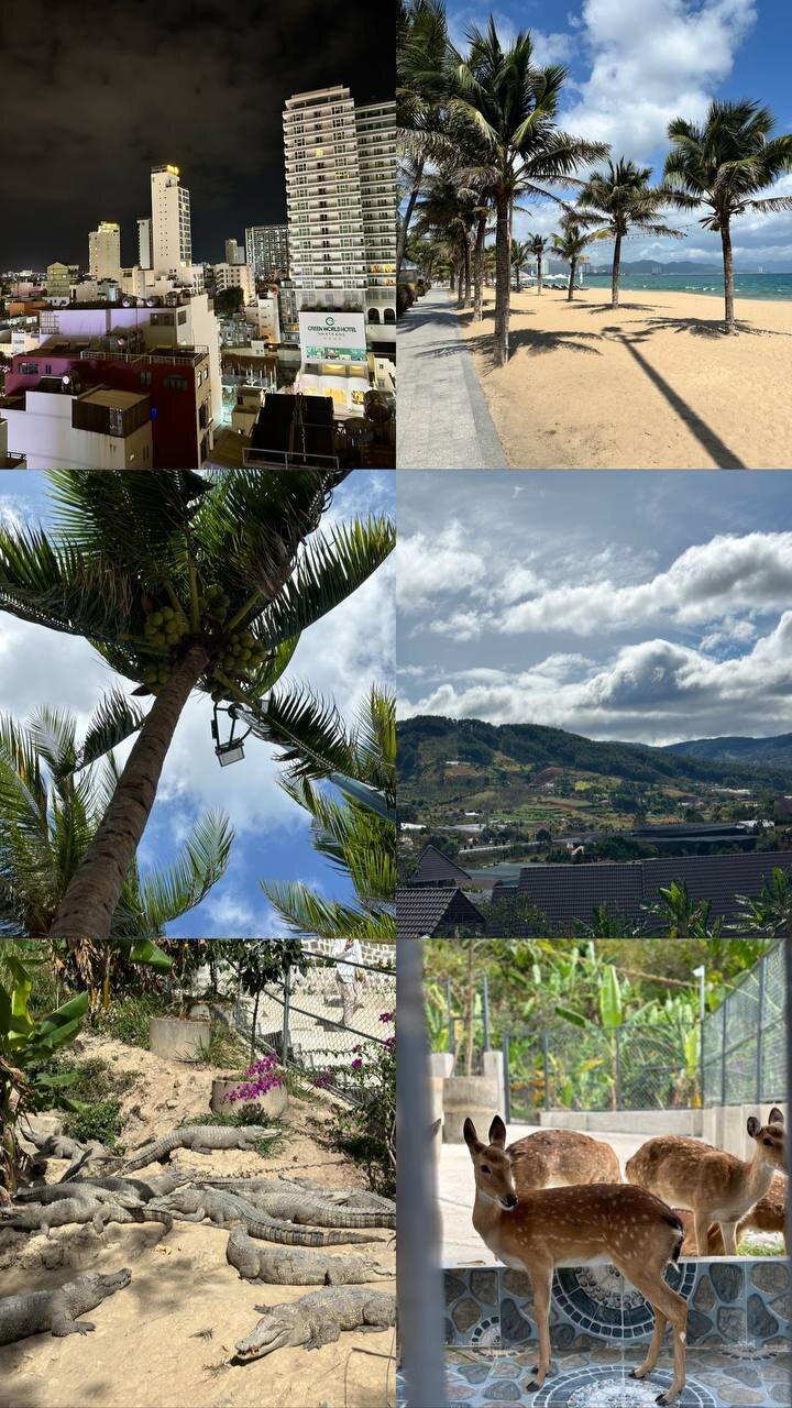 Lea-Ree Cam Model Profile | Stripchat