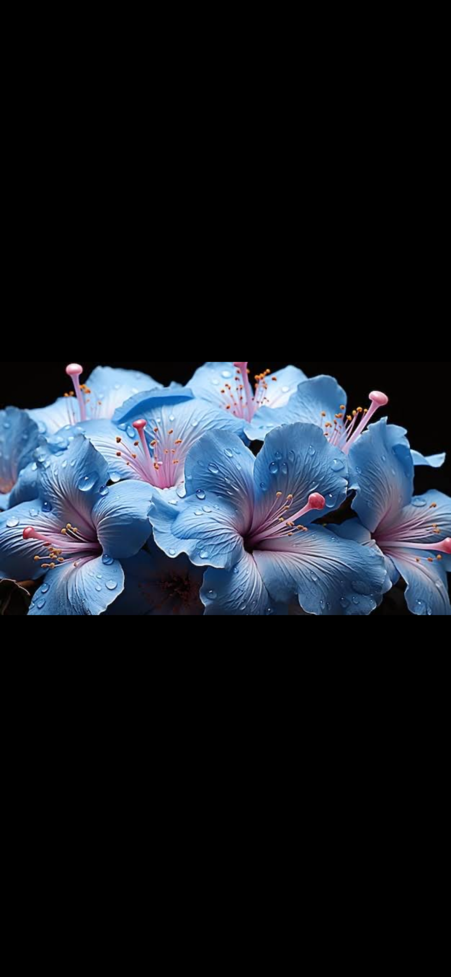 Ren0226のキャストのプロフィール | xHamsterLive