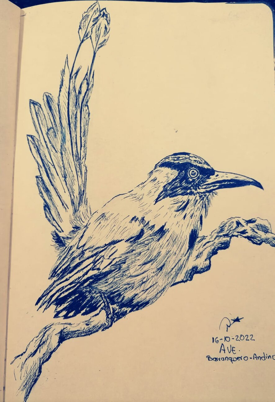 Tamara_queen Cam Model Profile | Stripchat