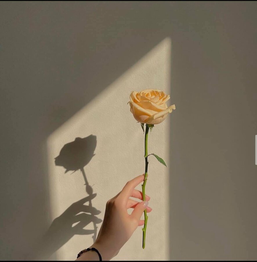 Jerry-Lan Cam Model Profile | Stripchat