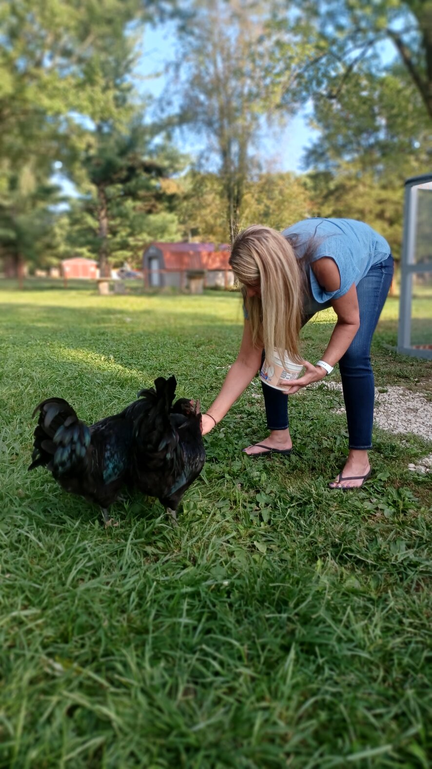 HeyitsJulia Webcam Model Profile | xHamsterLive