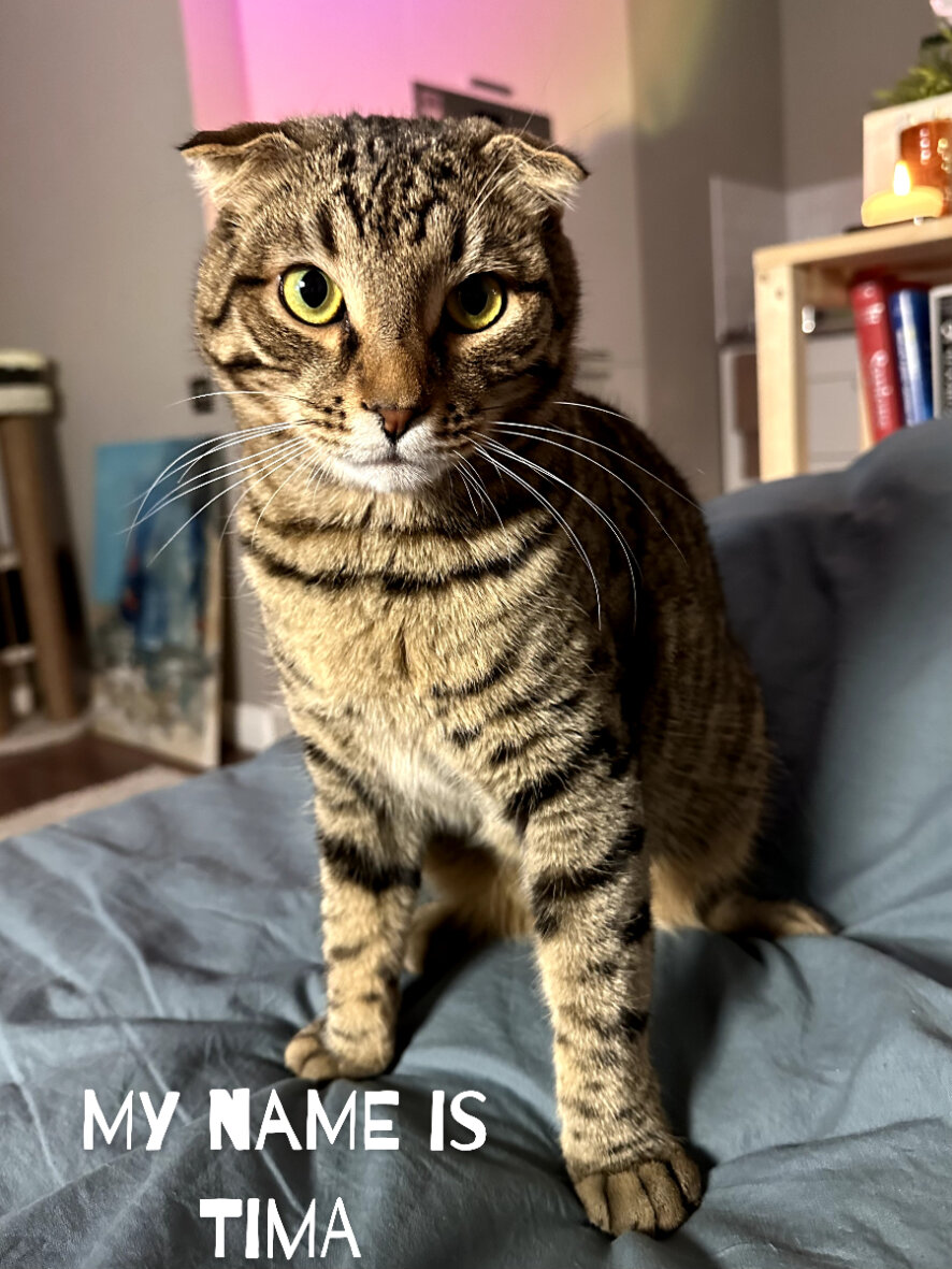 Moon_deity_のキャストのプロフィール | Stripchat