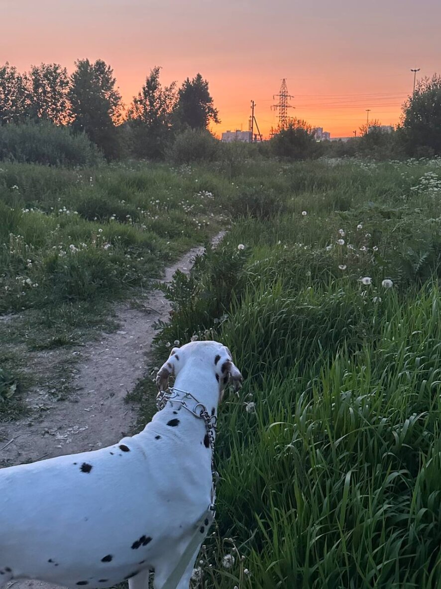 _jess_rabbit Webcam Model Profile | xHamsterLive