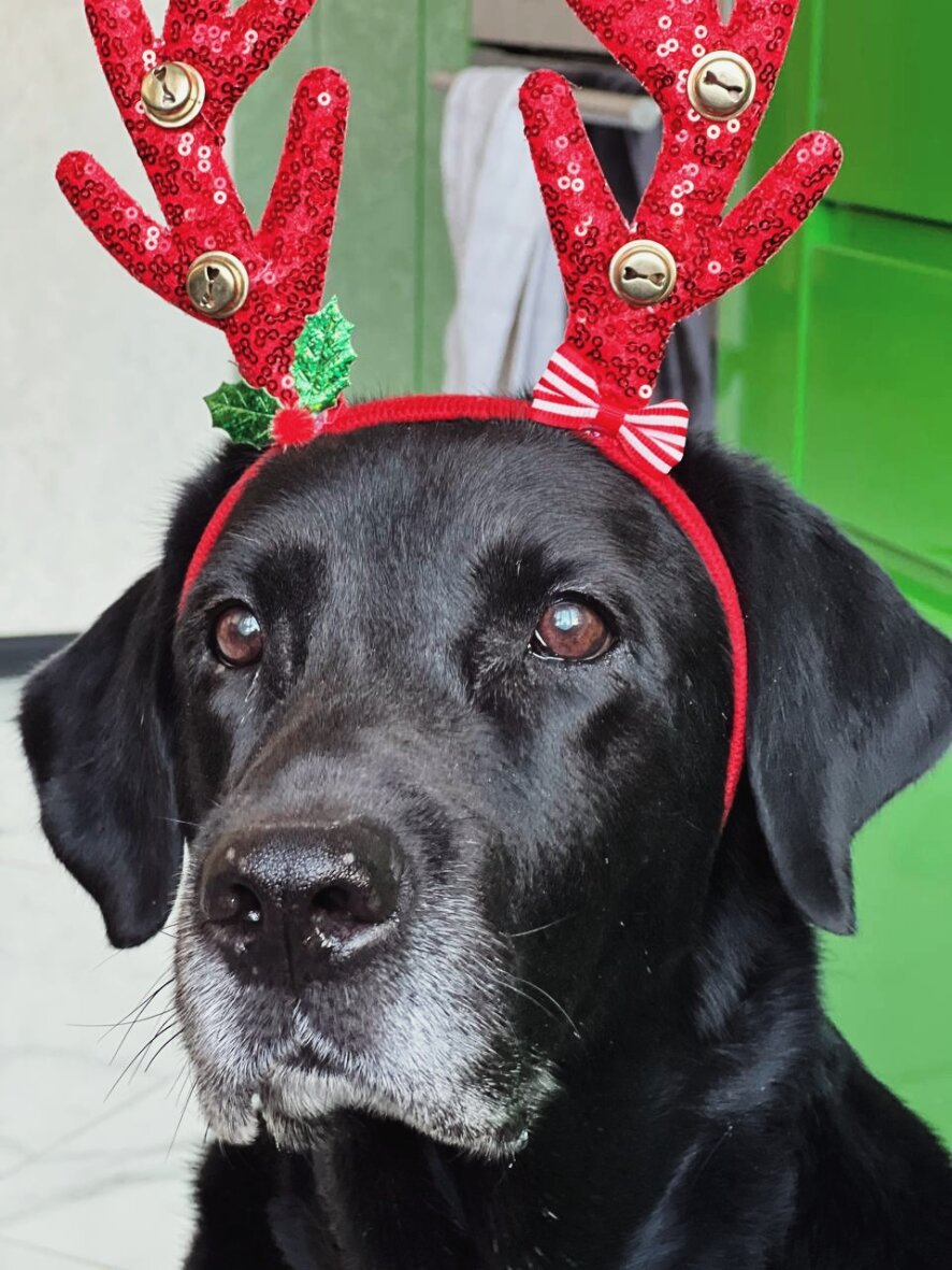 Soffilin Webcam Model Profile | xHamsterLive