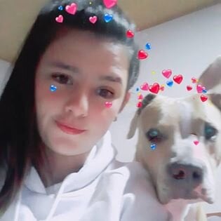 Angelasm Cam Model Profile | Stripchat