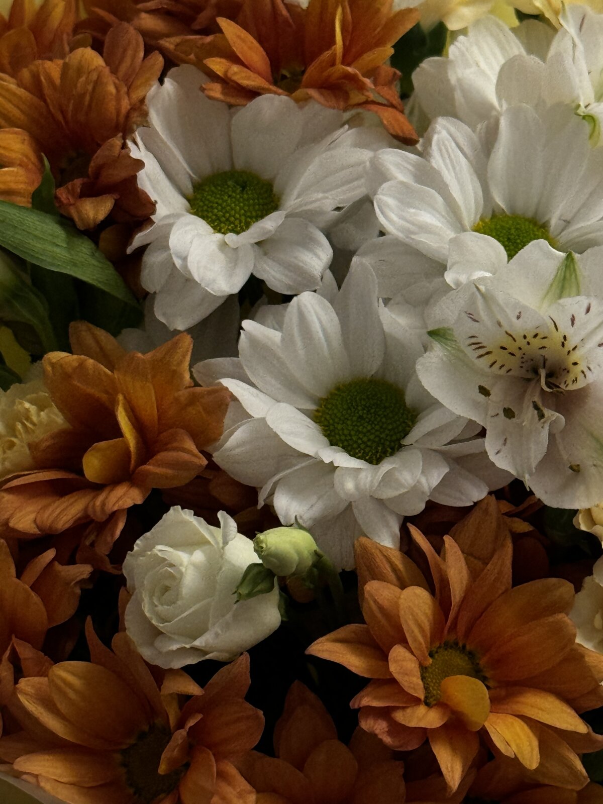 最高にホットなキャストたちの新しい投稿 | Stripchat | Tklivechat