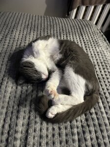 Álbumes de fotos XXX de AliceLebel con fotos eróticas | xHamsterLive