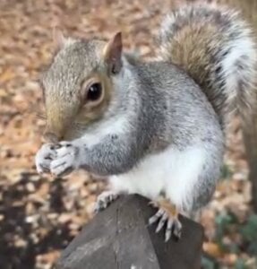 841_yayoi's Sexy Photos and Nude Pics | Bestjavporn Live