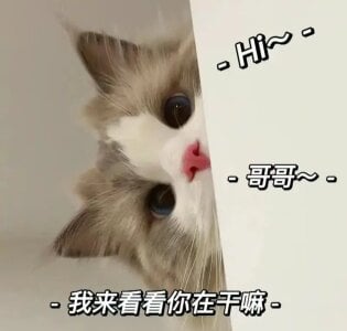 CN-xiaofei含情色照片的XXX照片集 | xHamsterLive