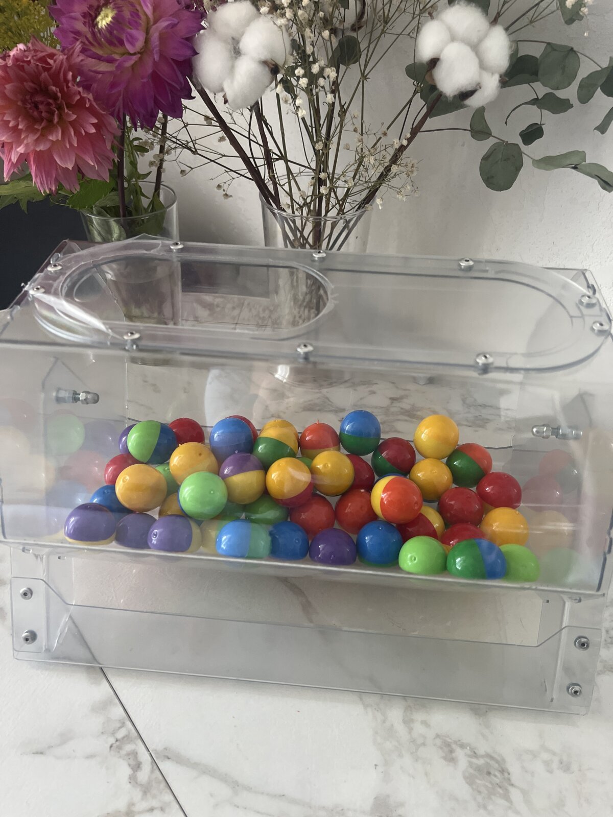 最热门主播的新帖子 | Stripchat | Steamlists