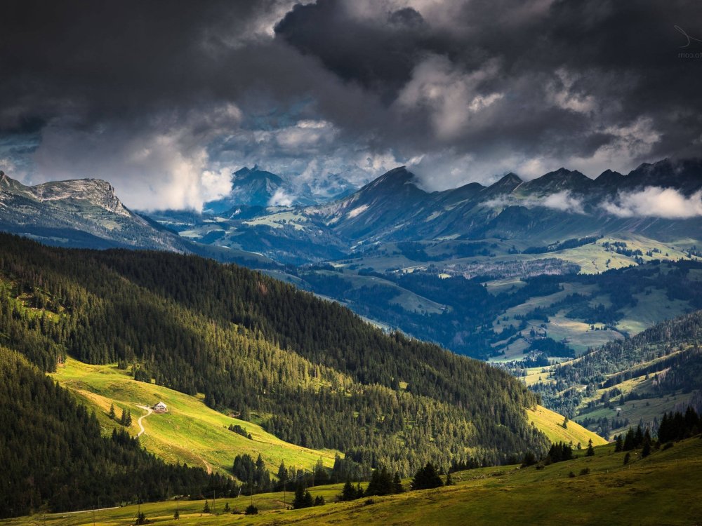 Daniel_boom_ Free Live Webcam Show & XXX Chat | xHamsterLive