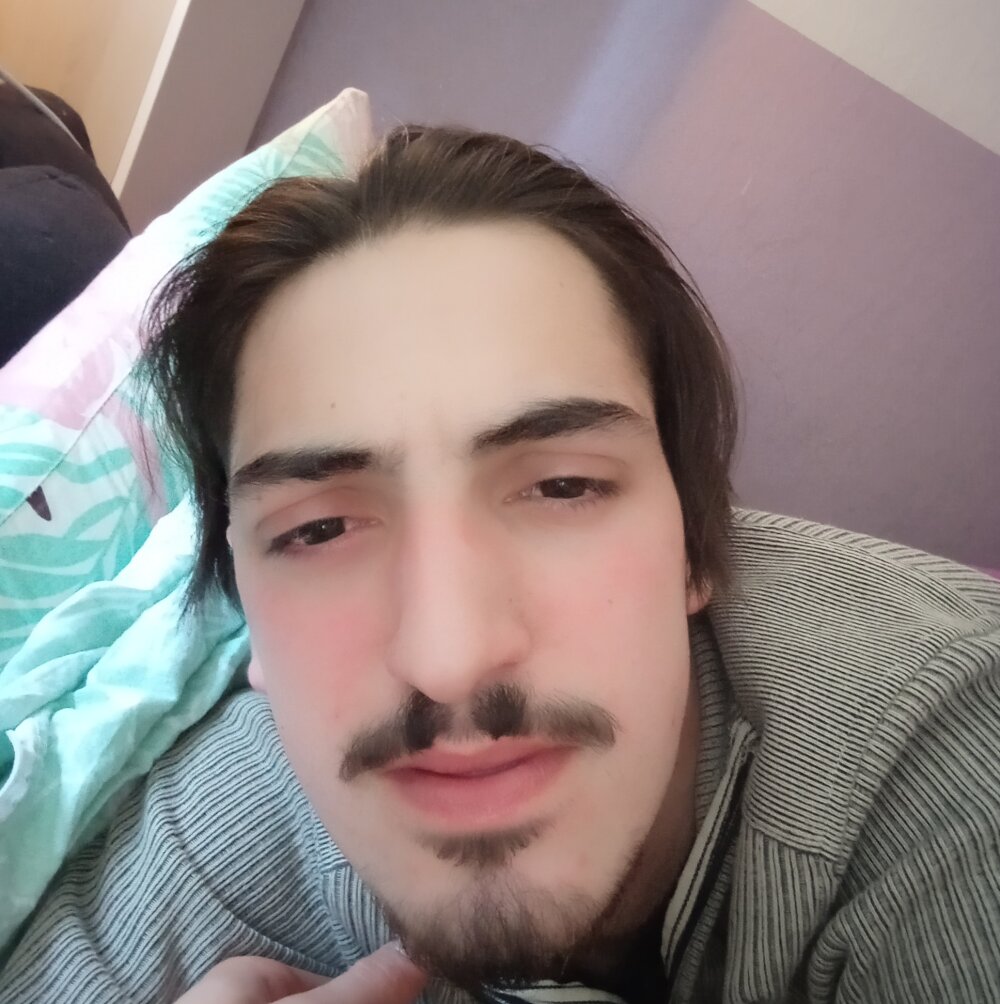Balkan Men主播：免费直播性爱表演和聊天 Stripchat